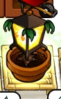 Plantern/Gallery | Plants vs. Zombies Wiki | Fandom