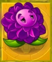 Stallia/Gallery | Plants vs. Zombies Wiki | Fandom