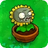 Sunflower | Plants vs. Zombies Wiki | Fandom