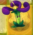Nightshade/Gallery | Plants vs. Zombies Wiki | Fandom