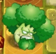 Strong Broccoli/Gallery | Plants vs. Zombies Wiki | Fandom