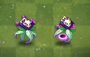 Orchid Mage | Plants vs. Zombies Wiki | Fandom