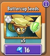 Buttercup (Plants vs. Zombies 2) | Plants vs. Zombies Wiki | Fandom