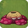 Rafflesia/Galería | Wiki Plants vs. Zombies | Fandom
