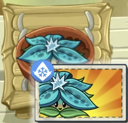 Boingsetta/Gallery | Plants vs. Zombies Wiki | Fandom