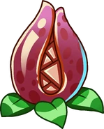 Devour Bloom | Plants vs. Zombies Wiki | Fandom