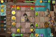Flowers | Plants vs. Zombies Wiki | Fandom