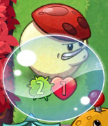 Buff-Shroom | Plants vs. Zombies Wiki | Fandom