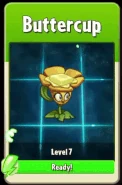 Buttercup/Gallery | Plants vs. Zombies Wiki | Fandom