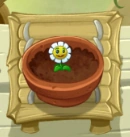 Marigold (Plants vs. Zombies 2) | Plants vs. Zombies Wiki | Fandom