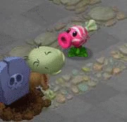 Sweet Pea | Plants vs. Zombies Wiki | Fandom