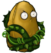 Vine-nut | Plants vs. Zombies Wiki | Fandom