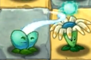 Magic Vine | Plants vs. Zombies Wiki | Fandom