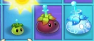 Mangosteen | Plants vs. Zombies Wiki | Fandom