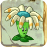 Bloomerang (Plants vs. Zombies 2) | Plants vs. Zombies Wiki | Fandom