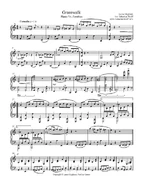 音乐 | 植物大战僵尸百科 | Fandom