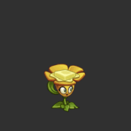 Buttercup/Gallery | Plants vs. Zombies Wiki | Fandom