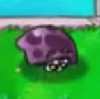 Scaredy-shroom | Plants vs. Zombies Wiki | Fandom