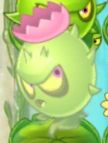 Homing Thistle/Gallery | Plants vs. Zombies Wiki | Fandom