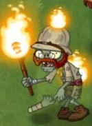 Torchlight Zombie | Plants vs. Zombies Wiki | Fandom