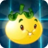 Solar Tomato | Plants vs. Zombies Wiki | Fandom