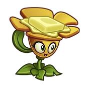 Buttercup/Gallery | Plants vs. Zombies Wiki | Fandom