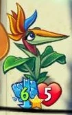 Bird of Paradise | Plants vs. Zombies Wiki | Fandom