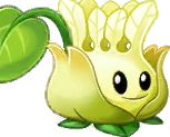 Elaeocarpus-pult | Plants vs. Zombies Wiki | Fandom