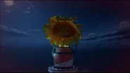 Mega Flower | Plants vs. Zombies Wiki | Fandom