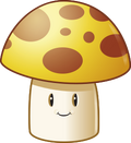 Sun-shroom | Plants vs. Zombies Wiki | Fandom