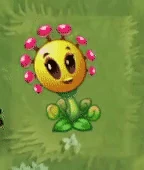 Sundew Tangler/Gallery | Plants vs. Zombies Wiki | Fandom