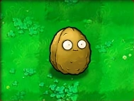 Wall-nut (Plants vs. Zombies) | Plants vs. Zombies Wiki | Fandom
