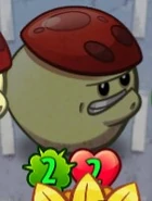 Buff-Shroom | Plants vs. Zombies Wiki | Fandom
