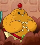 Spudow/Gallery | Plants vs. Zombies Wiki | Fandom