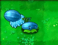 Winter Melon/Gallery | Plants vs. Zombies Wiki | Fandom