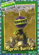 Sprint Burrow | Plants vs. Zombies Wiki | Fandom