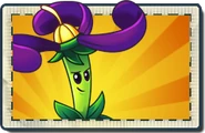 Nightshade/Gallery | Plants vs. Zombies Wiki | Fandom