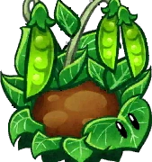 Pea Patch | Plants vs. Zombies Wiki | Fandom