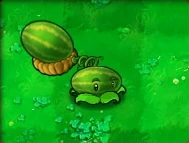 Melon-pult (Plants vs. Zombies) | Plants vs. Zombies Wiki | Fandom