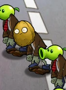 Wall-nut Zombie | Plants vs. Zombies Wiki | Fandom