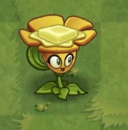 Buttercup/Gallery | Plants vs. Zombies Wiki | Fandom