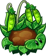 Pea Patch | Plants vs. Zombies Wiki | Fandom