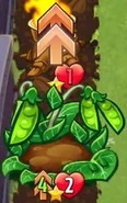 Pea Patch | Plants vs. Zombies Wiki | Fandom