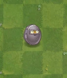 Nuez | Wiki Plants vs. Zombies | Fandom