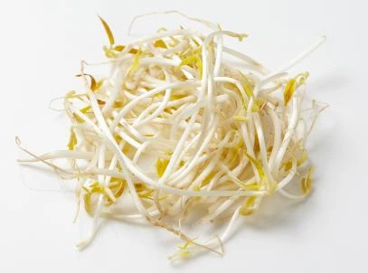 Bean Sprout | Plants vs. Zombies Wiki | Fandom