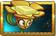 Buttercup (Plants vs. Zombies 2) | Plants vs. Zombies Wiki | Fandom