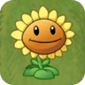 Sunflower (Plants vs. Zombies 2) | Plants vs. Zombies Wiki | Fandom