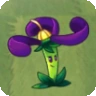 Nightshade | Plants vs. Zombies Wiki | Fandom
