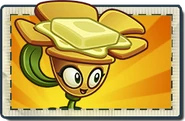 Buttercup (Plants vs. Zombies 2) | Plants vs. Zombies Wiki | Fandom
