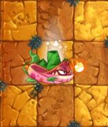 Arma-mint/Gallery | Plants vs. Zombies Wiki | Fandom